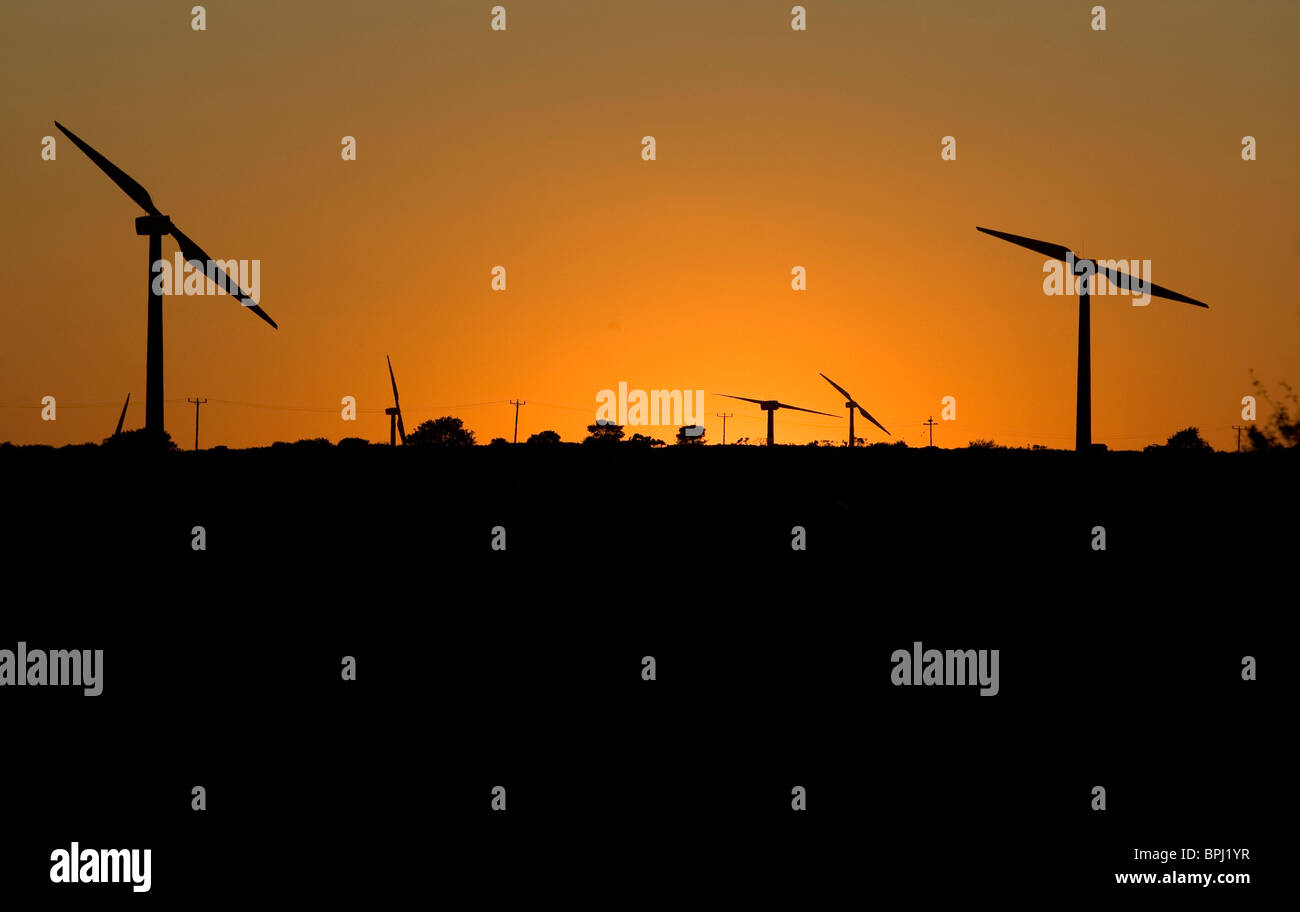 Cold Northcott wind farm, Cornwall. Turbines silhouetted against sunset ...