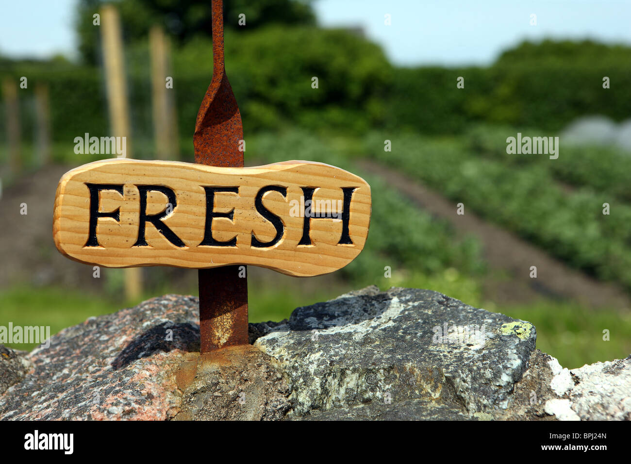 Fresh sign signifying fresh home grown produce at the gardens of the ...