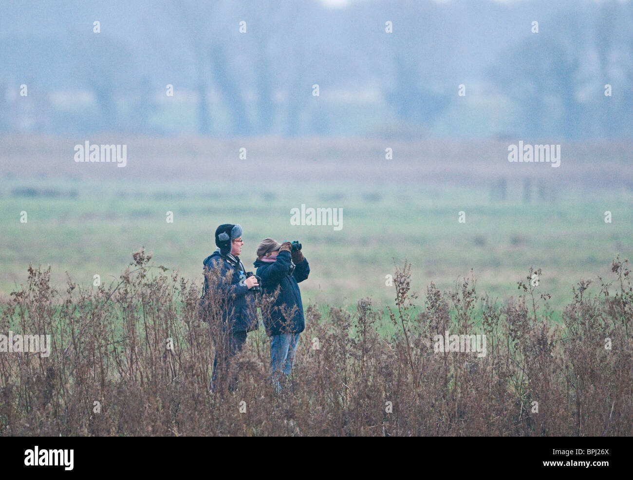 Buckenham marshes rspb reserve hi-res stock photography and images - Alamy