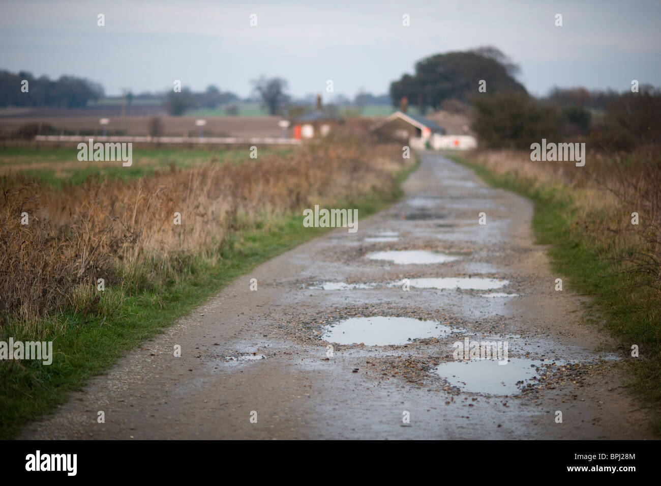 Buckenham marshes rspb reserve hi-res stock photography and images - Alamy