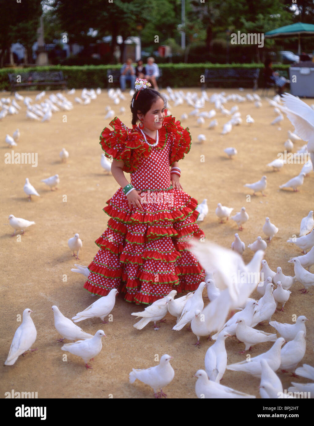 Popular doves hi-res stock photography and images - Alamy