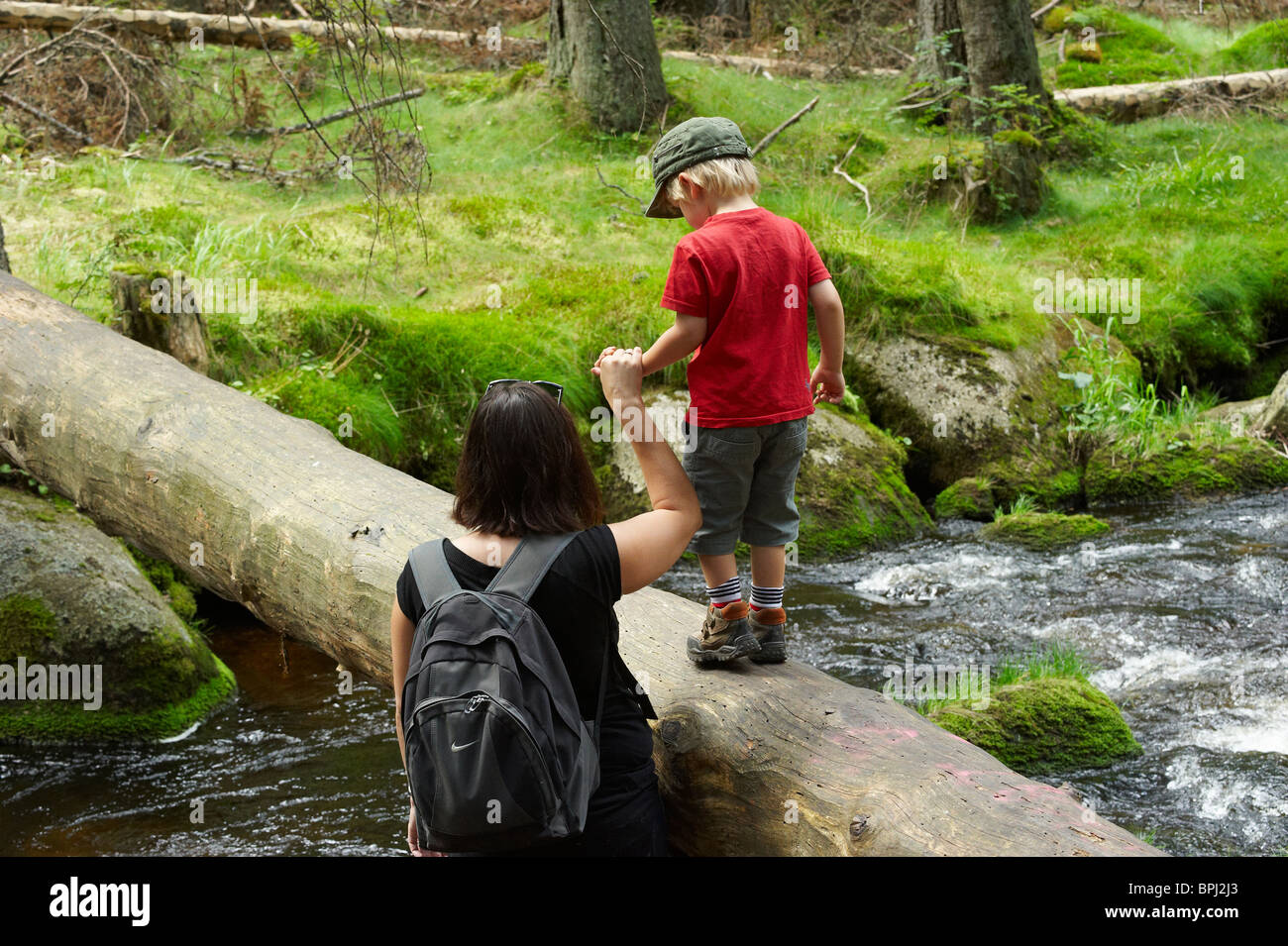 Children exploring in forest - mother helping son over stream ...