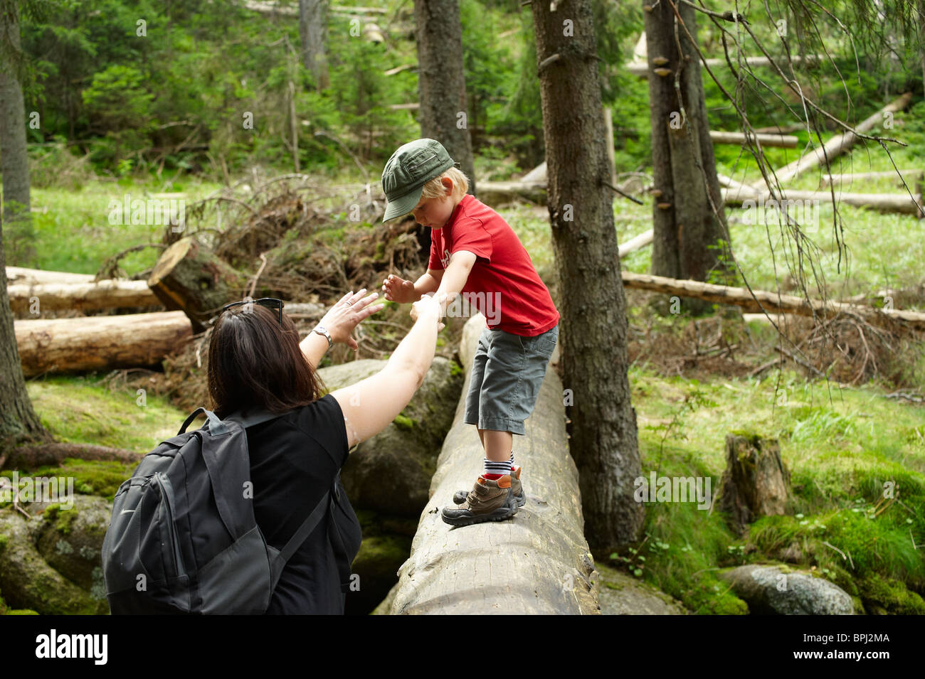 Children exploring in forest - mother helping son over stream ...