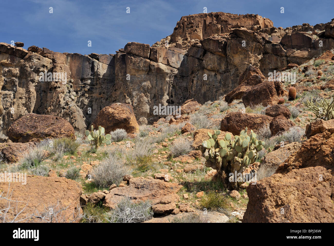 Rhyolite cliffs near the Nature Trail, Hole-in-the-Wall area, Mojave ...
