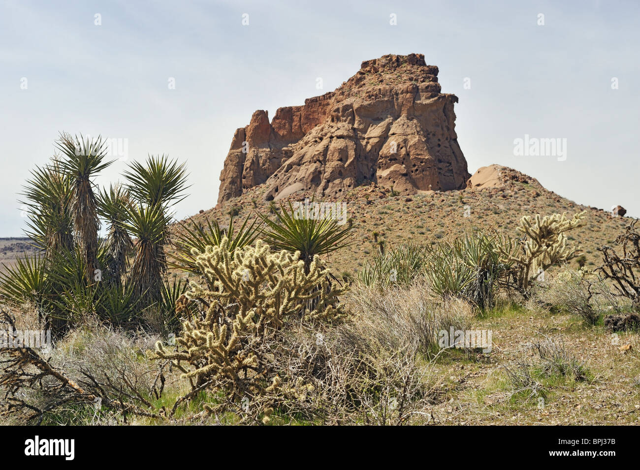 First national preserve hi-res stock photography and images - Alamy