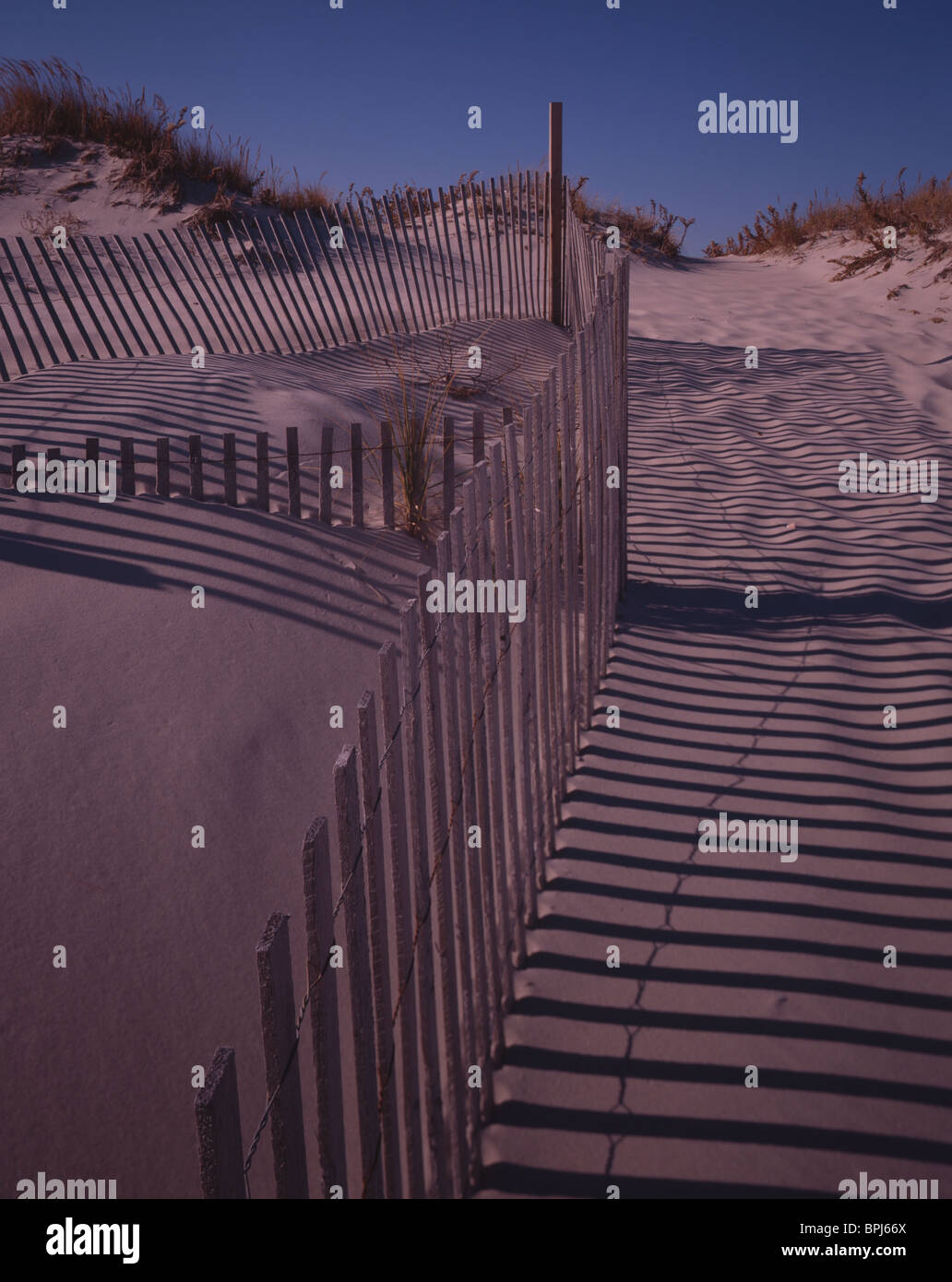Drift Fence with Shadow, NJ Stock Photo - Alamy