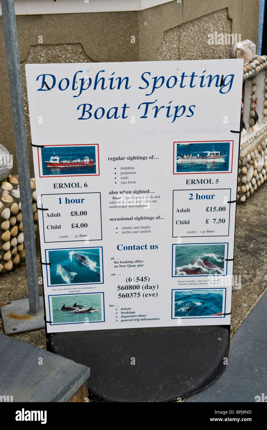 Signs for tourist trips in the seaside holiday resort of New Quay ...