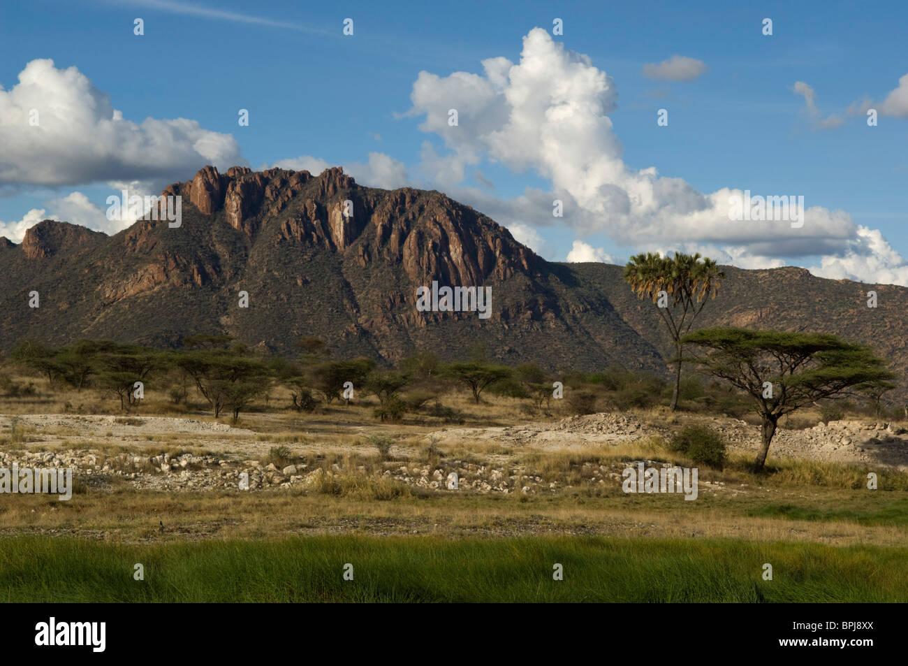 Shaba game reserve hi-res stock photography and images - Alamy