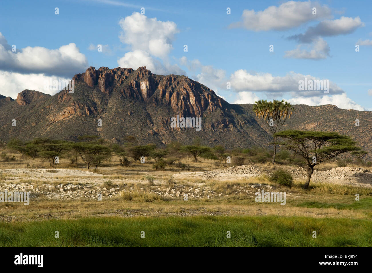 Shaba game reserve hi-res stock photography and images - Alamy