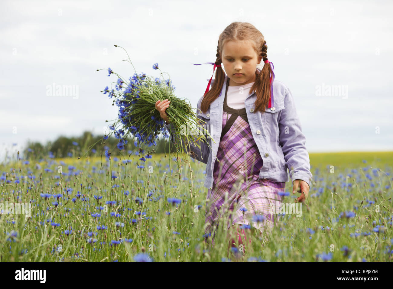 Girl picking a meadow bouquet hi-res stock photography and images - Alamy