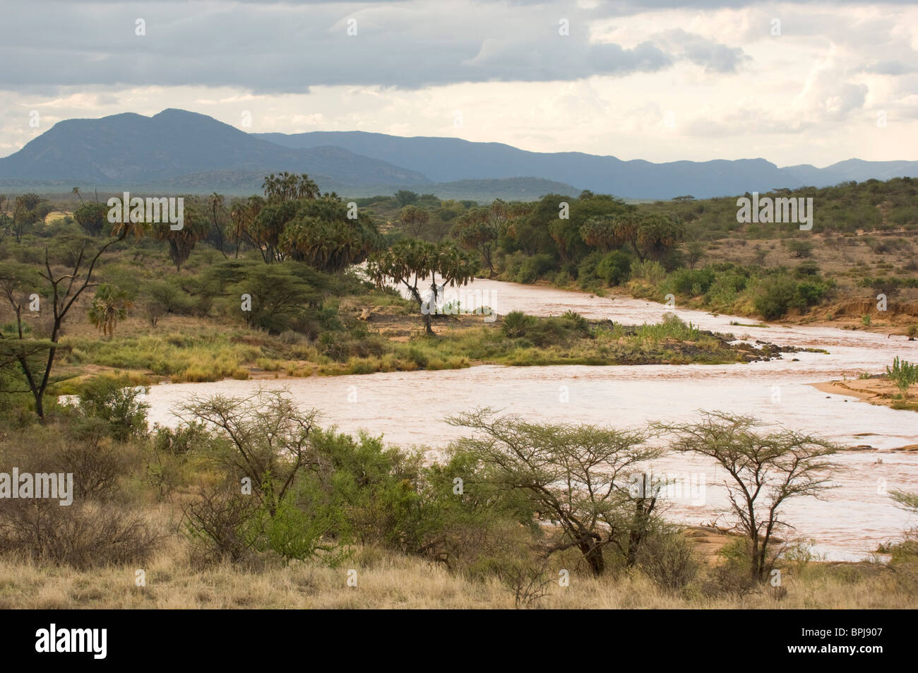 Ewaso Ng'iro Stock Photos & Ewaso Ng'iro Stock Images - Alamy