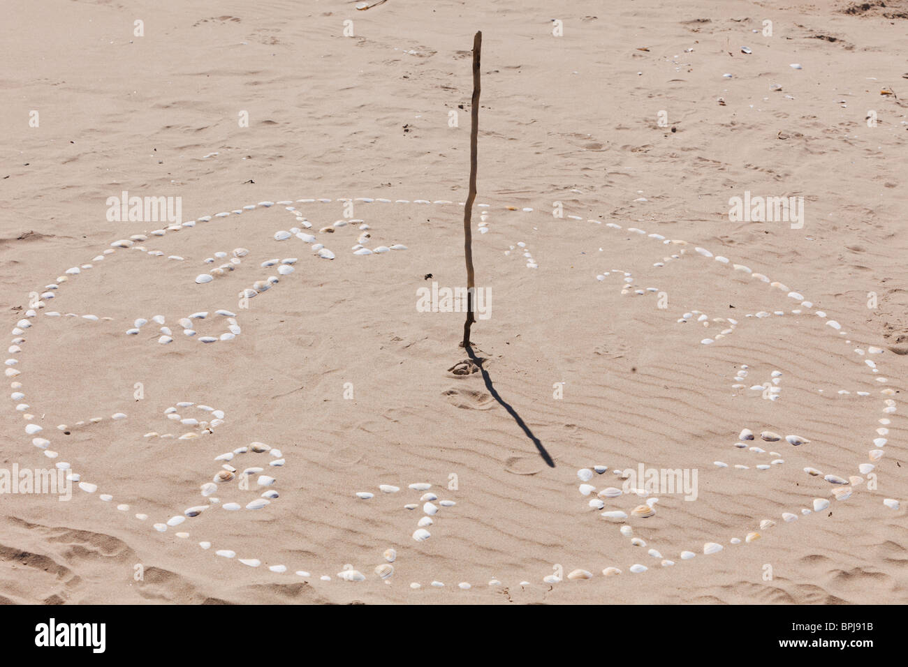 Solar clock made in sand from stick and seeshells Stock Photo - Alamy