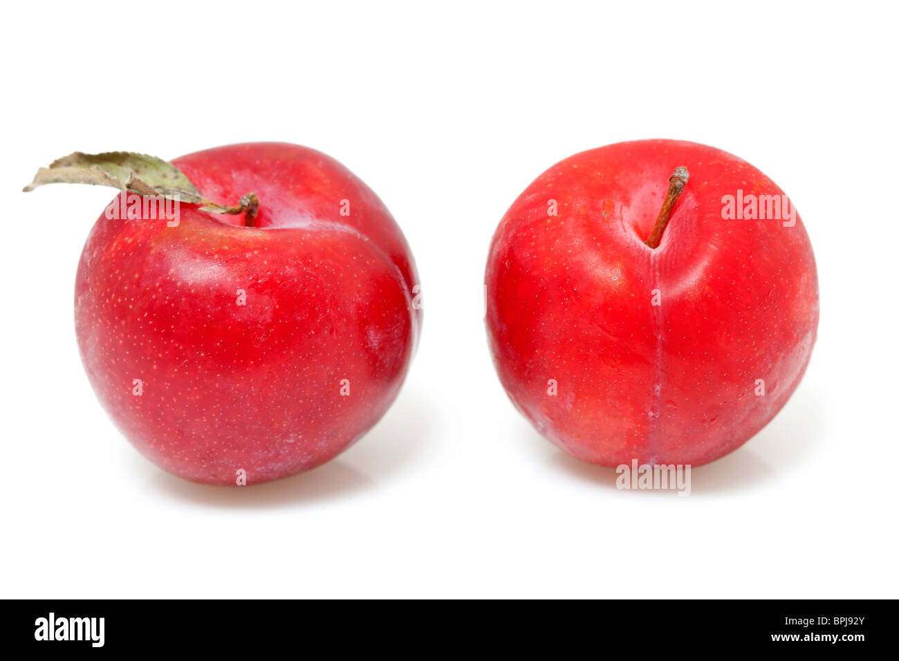 two red plums in closeup over white background Stock Photo - Alamy