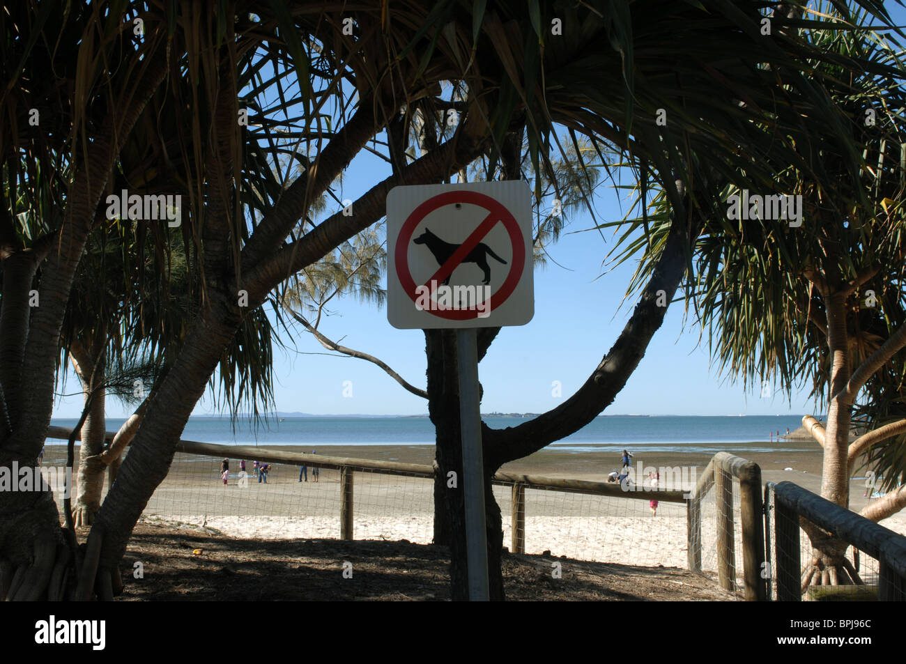 Dogs Prohibited Beyond This Point Sign, Wynnum, Brisbane, Queensland ...