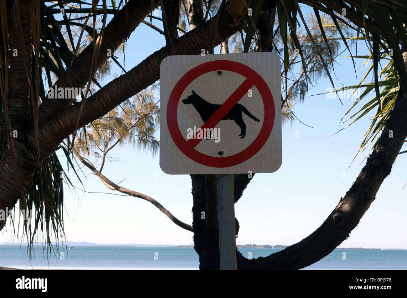 Dogs prohibited beyond this point sign hi-res stock photography and ...
