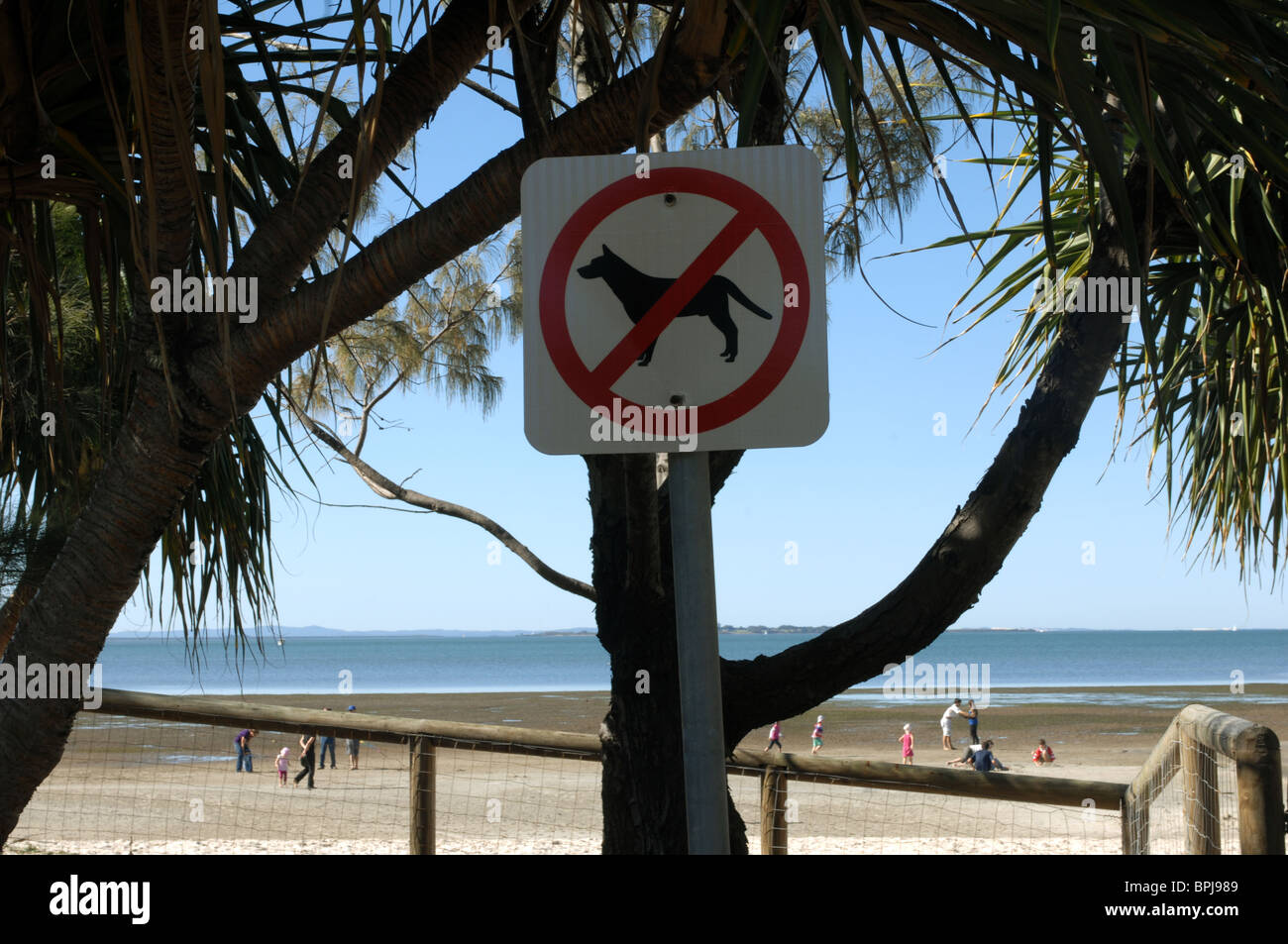 Dogs Prohibited Beyond This Point Sign, Wynnum, Brisbane, Queensland ...