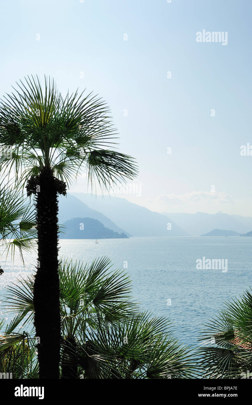 Palm trees at Lake Como, Lombardy, Italy Stock Photo - Alamy