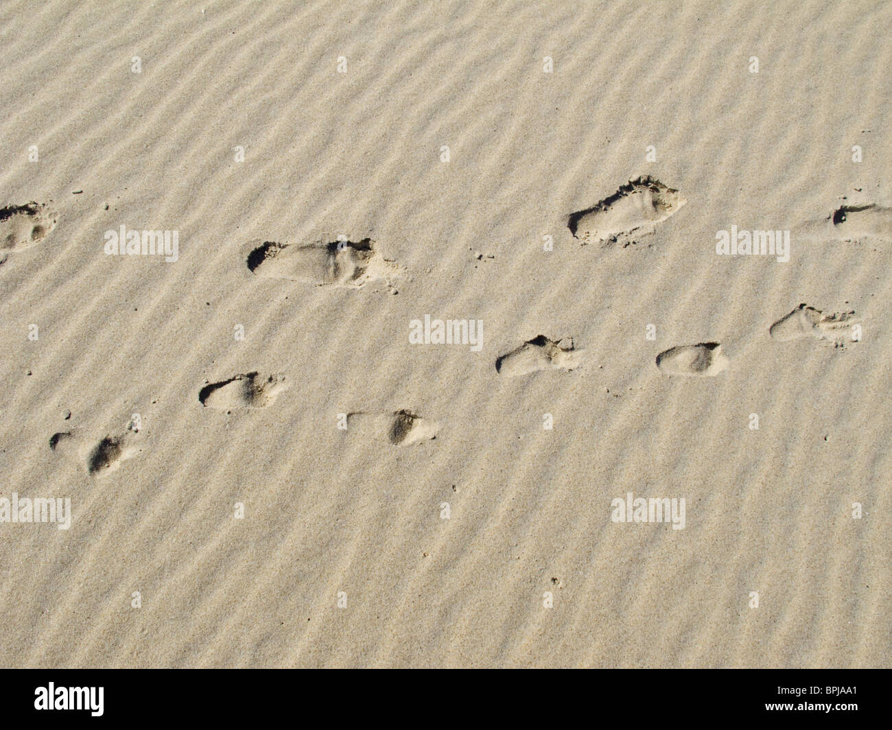 footsteps in sand Stock Photo - Alamy