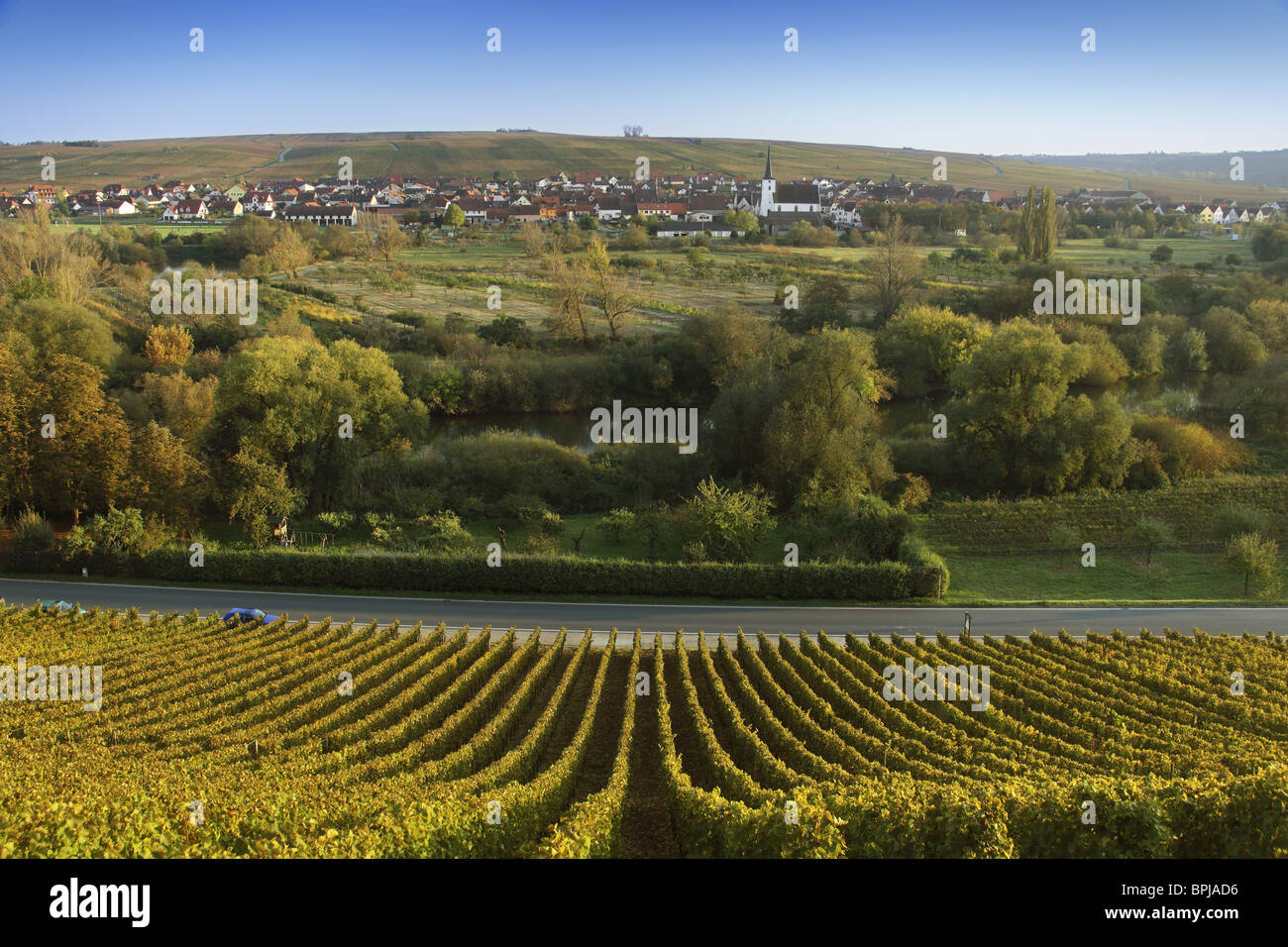 View over vineyards to Nordheim, Franconia, Bavaria, Germany Stock ...