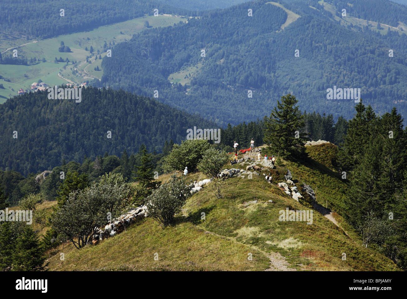 Mount belchen hi-res stock photography and images - Alamy