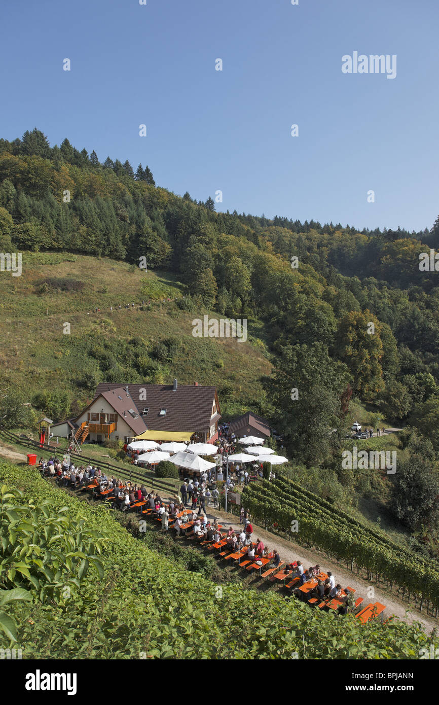 Restaurant in a vineyard, Oberkirch, Baden-Wurttemberg, Germany Stock ...
