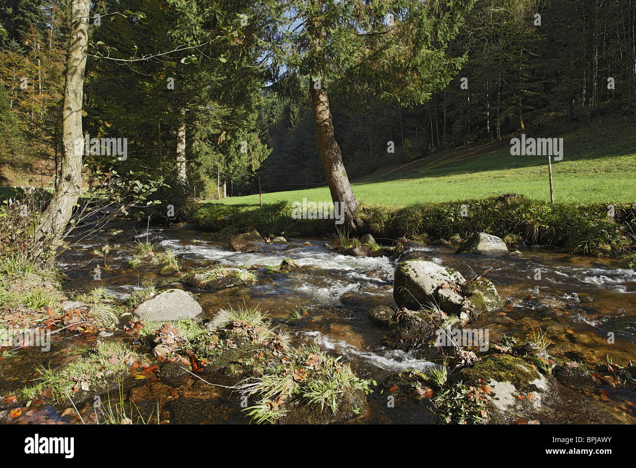 River, Hinterprechtal, Elzach, Baden-Wurttemberg, Germany Stock Photo ...