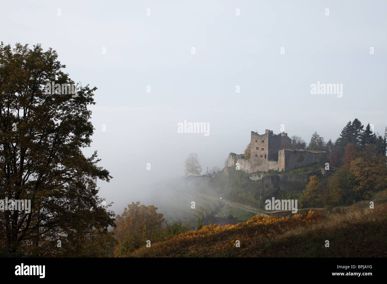 Schauenburg castle hi-res stock photography and images - Alamy