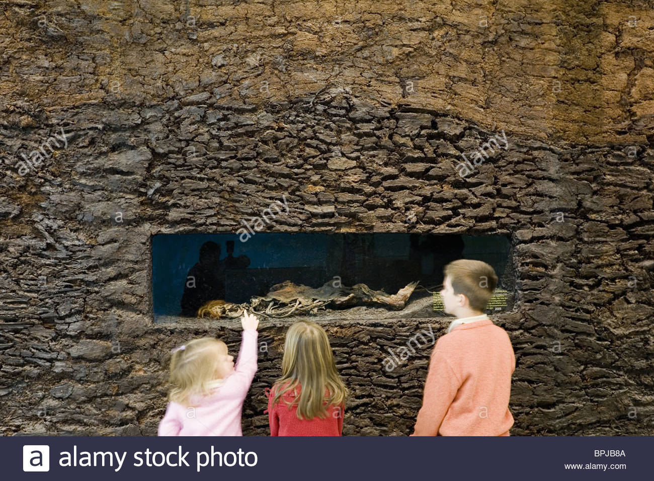 Bog Body Stock Photos & Bog Body Stock Images - Alamy