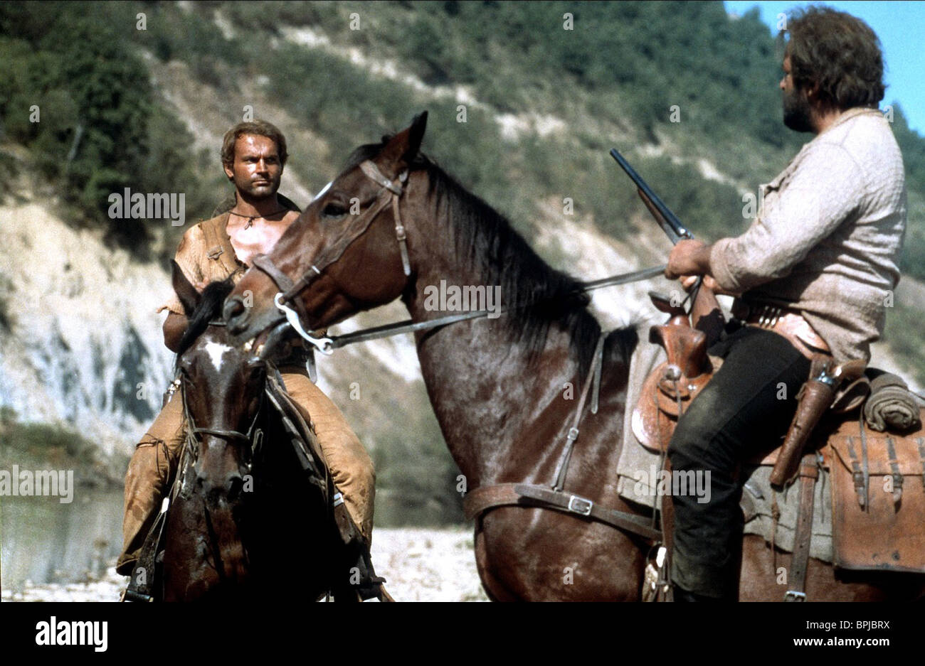 Horse Trinity High Resolution Stock Photography and Images - Alamy