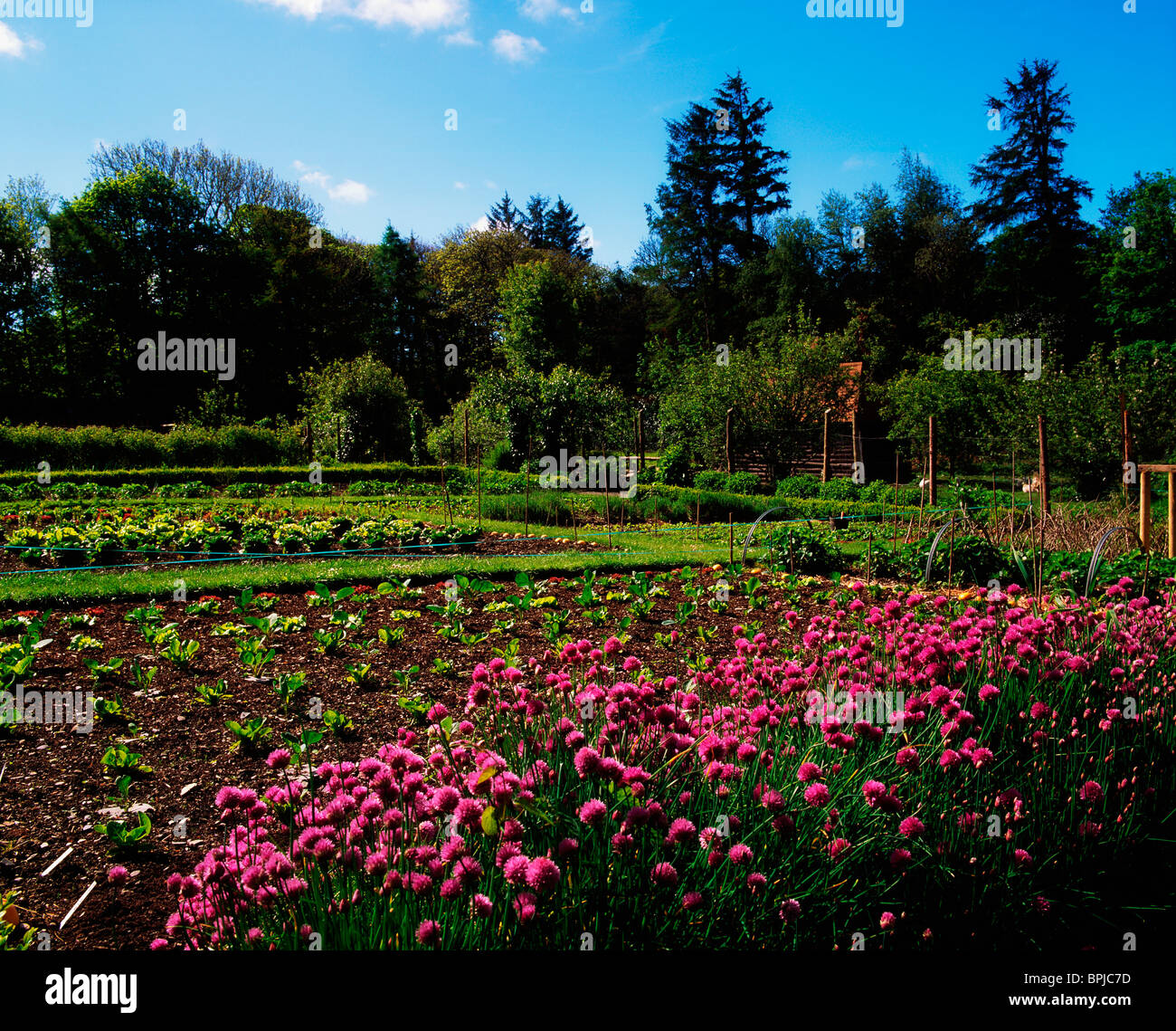 Creagh gardens hi-res stock photography and images - Alamy
