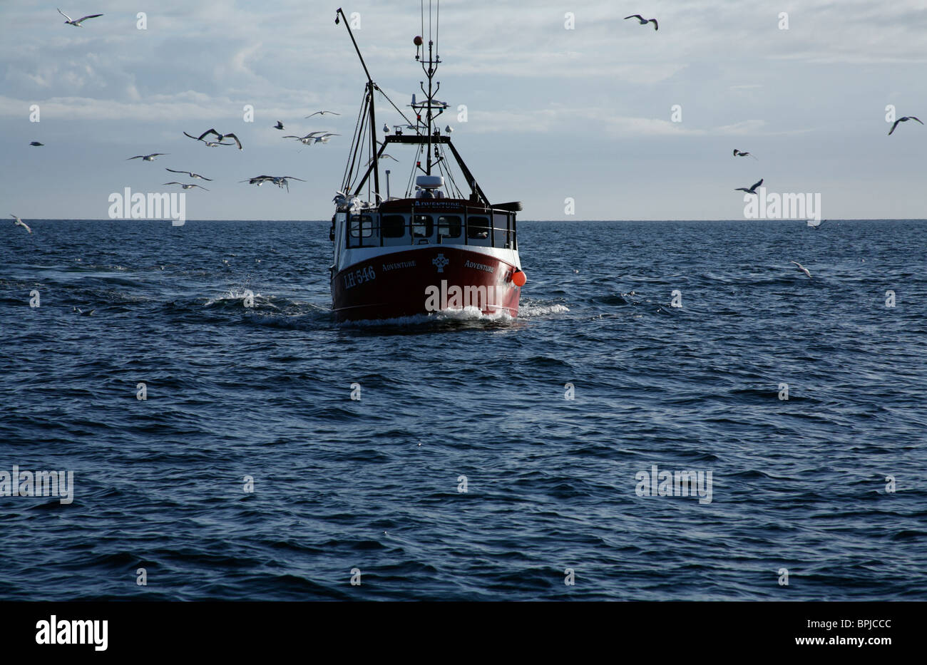 A rolling fishing boat making for its home port with its catch pursued ...
