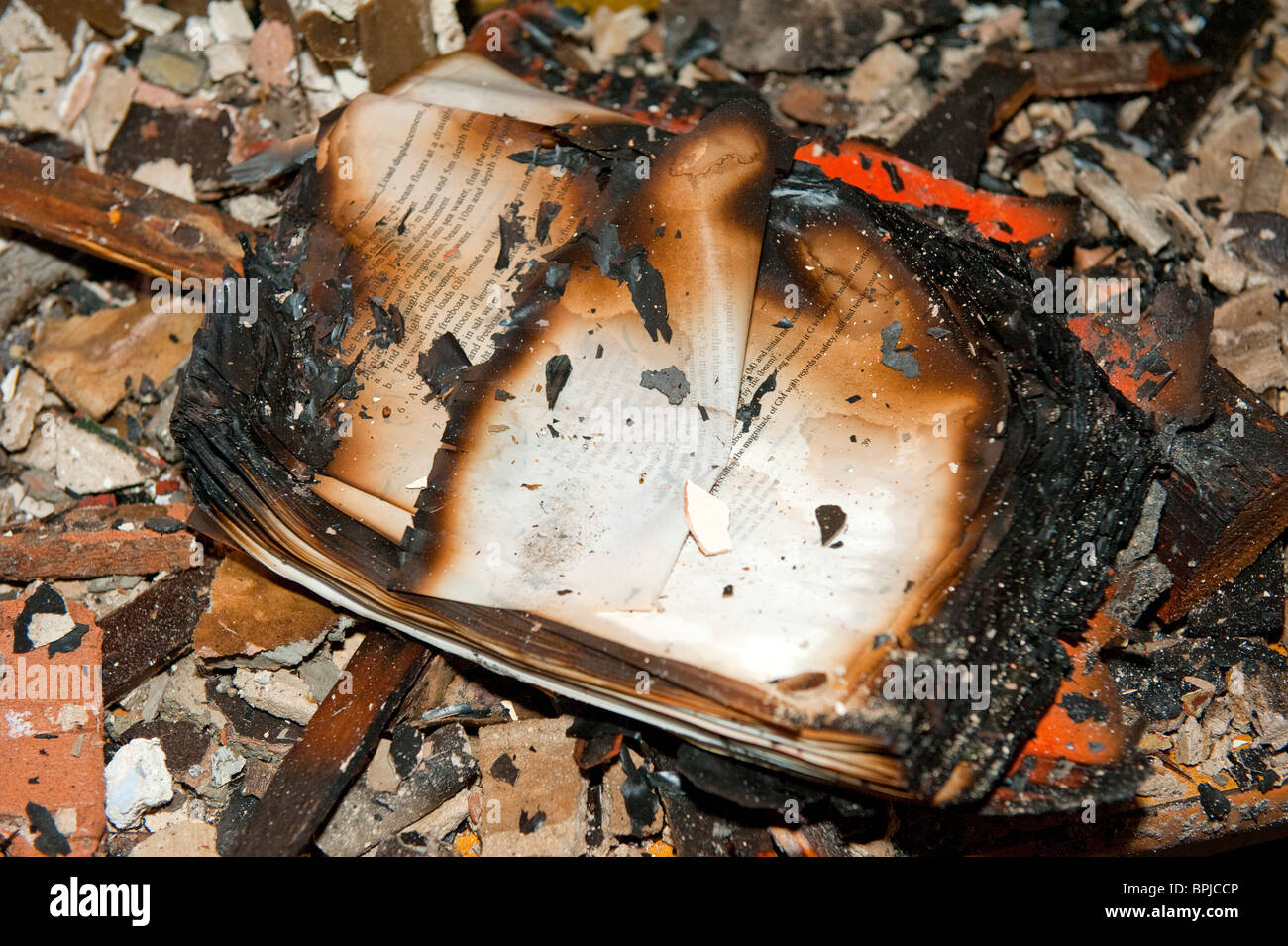 Burnt papers office fire debris Stock Photo - Alamy