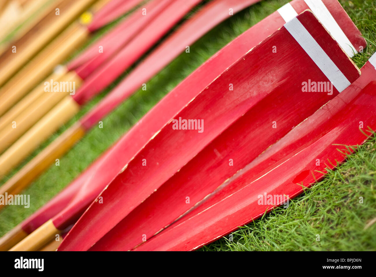 Oars in Pairs: A Timeless Tradition in Naval Warfare and Exploration