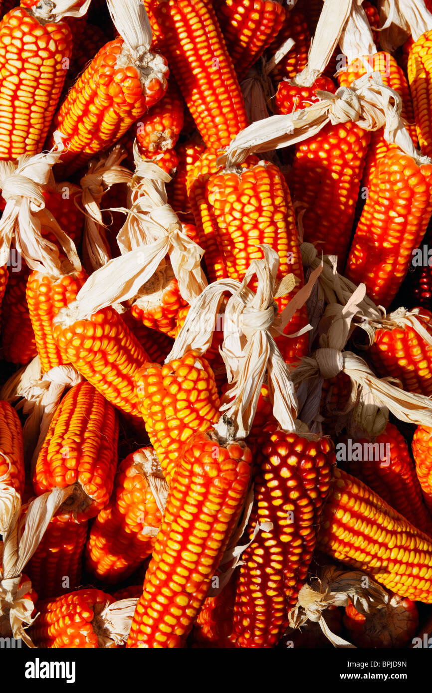 Box of sweetcorn on market stall Stock Photo - Alamy