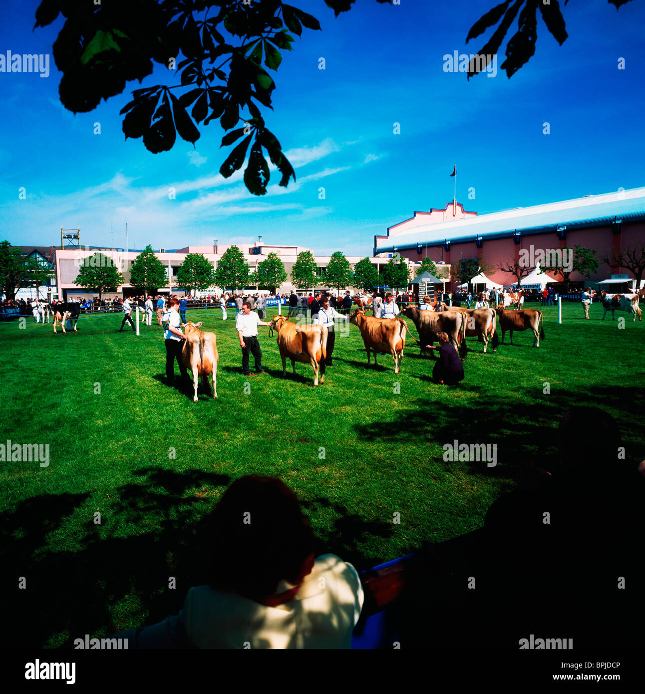 The Balmoral Show Belfast High Resolution Stock Photography and Images ...