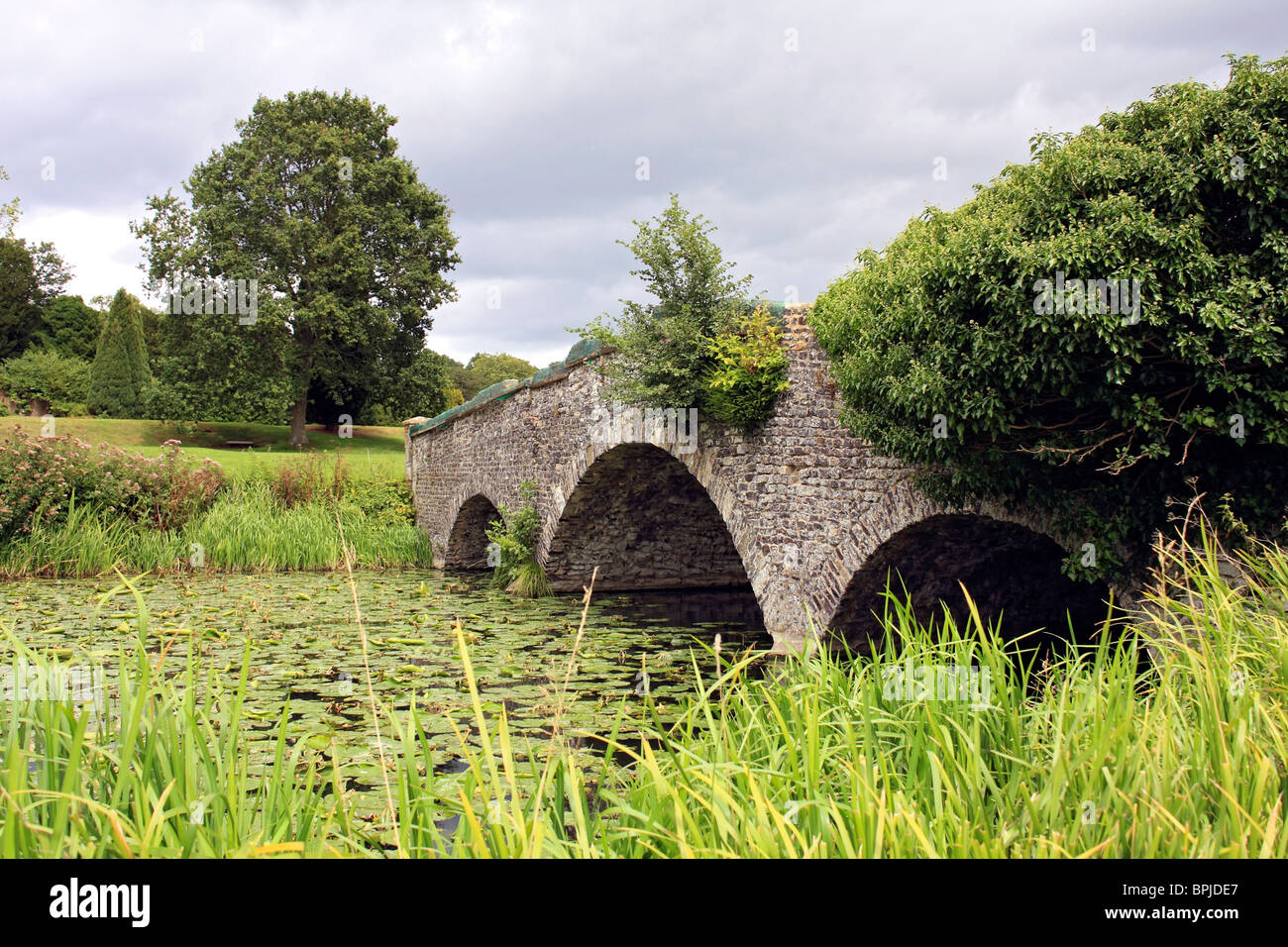 Old Stone bridge at Waverley Abbey near Farnham on the River Wey ...