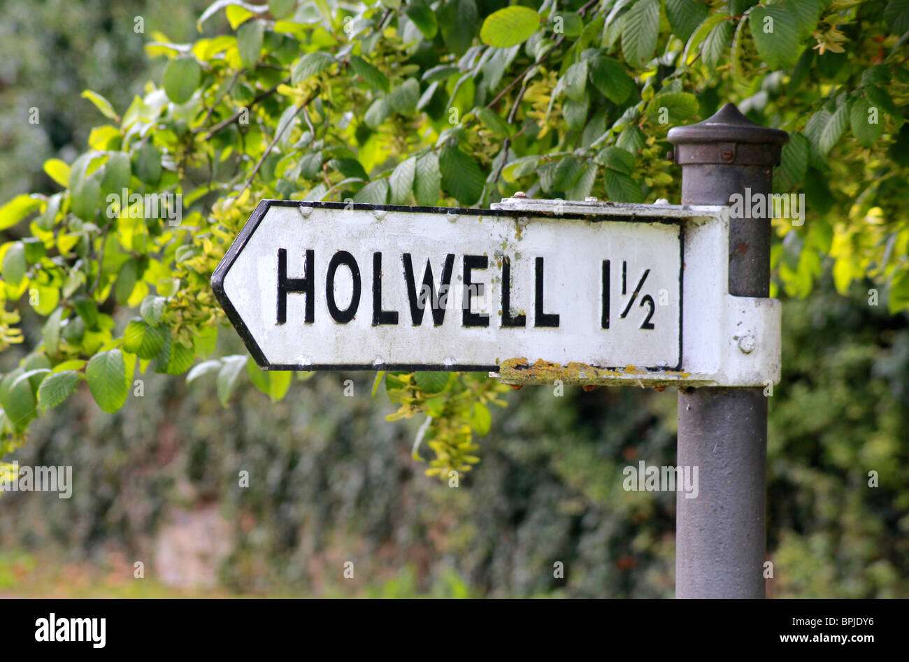 Holwell hi-res stock photography and images - Alamy