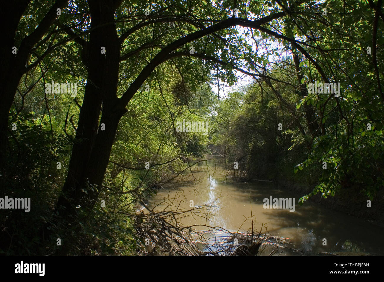 Roussenski lom nature park hi-res stock photography and images - Alamy