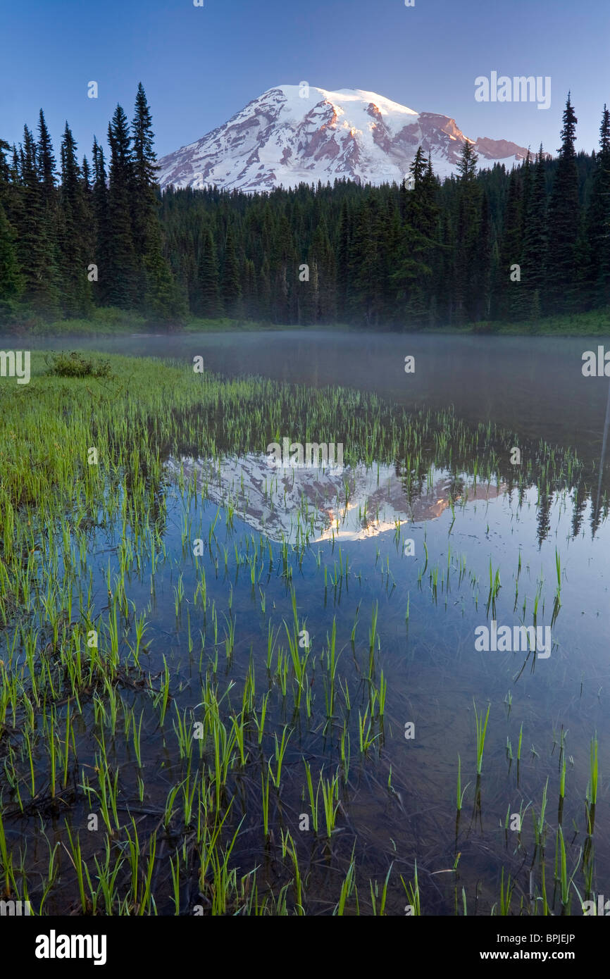 Mt. Rainier National Park, Reflection Lake, Mt. Rainier, Washington ...