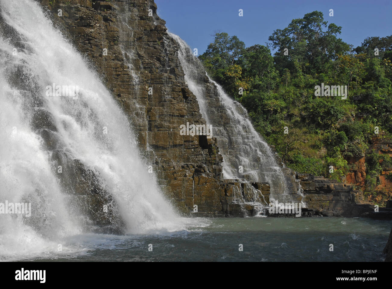 Bastar hi-res stock photography and images - Alamy