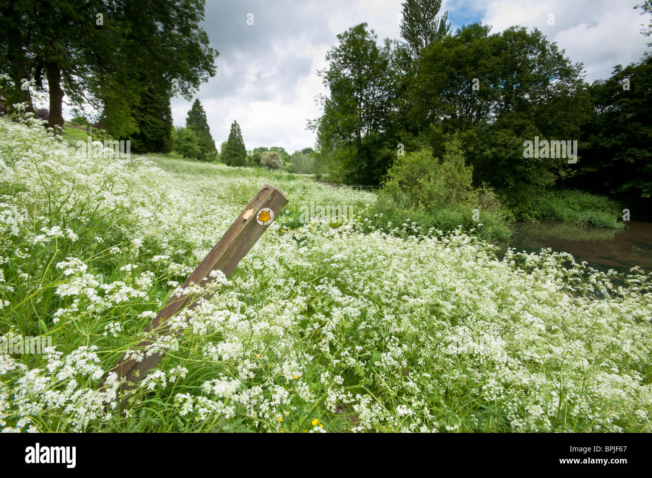 Late spring in Brimpsfield, Gloucestershire, Cotswolds, UK Stock Photo ...
