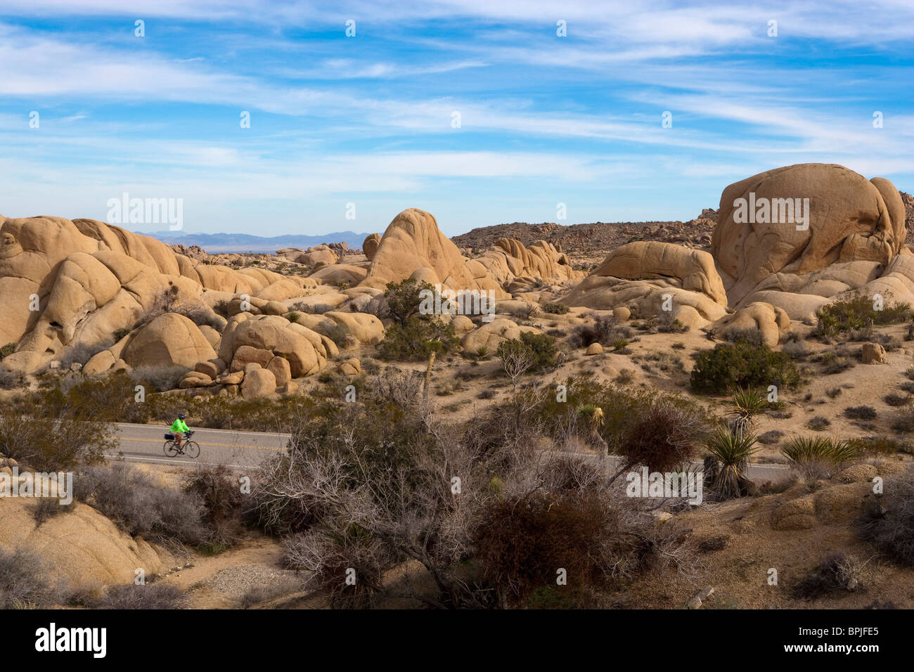 Cyclist near Jumbo Rocks Campground, Joshua Tree National Park ...
