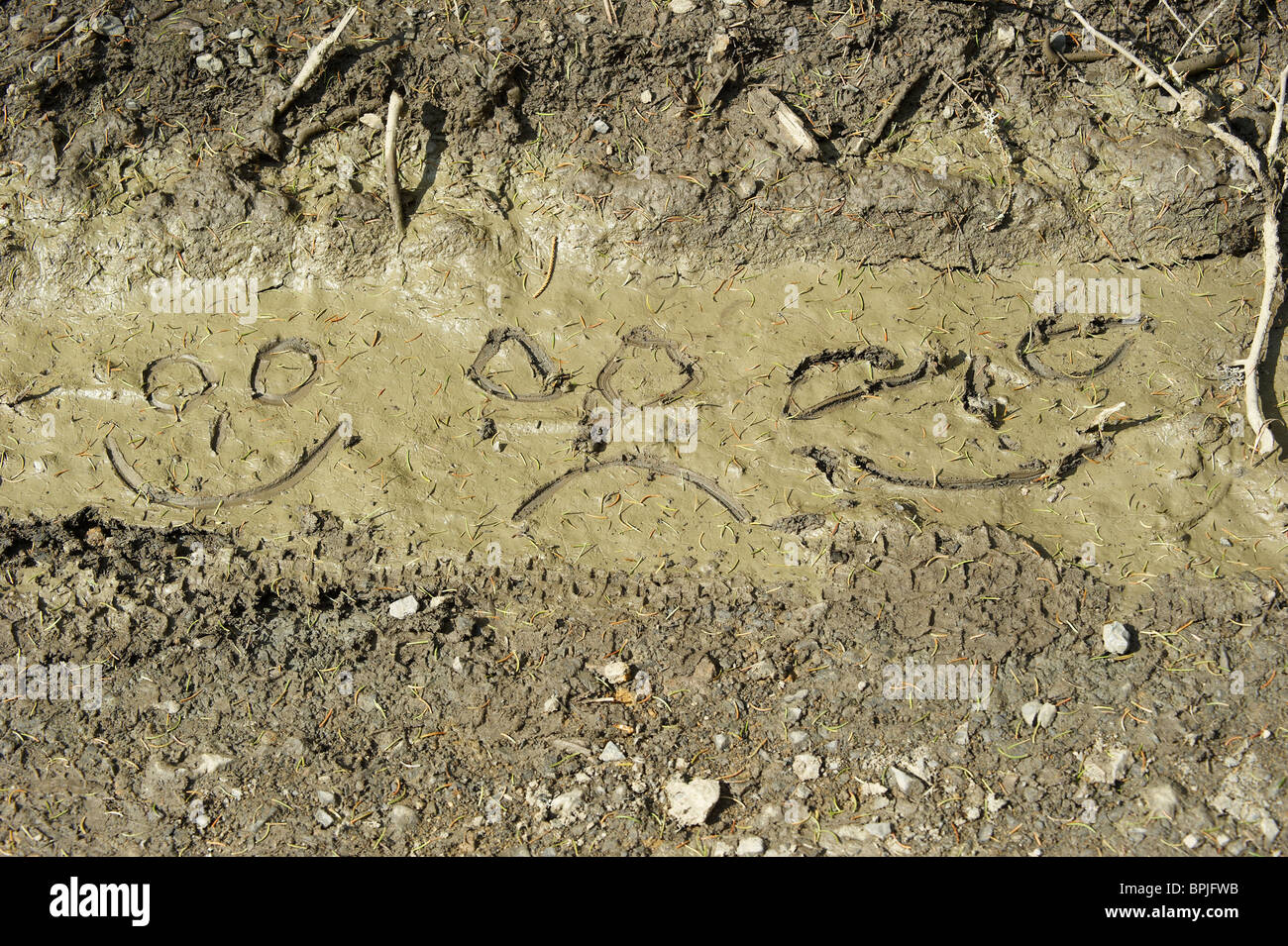 Faces imprint in mud Stock Photo - Alamy
