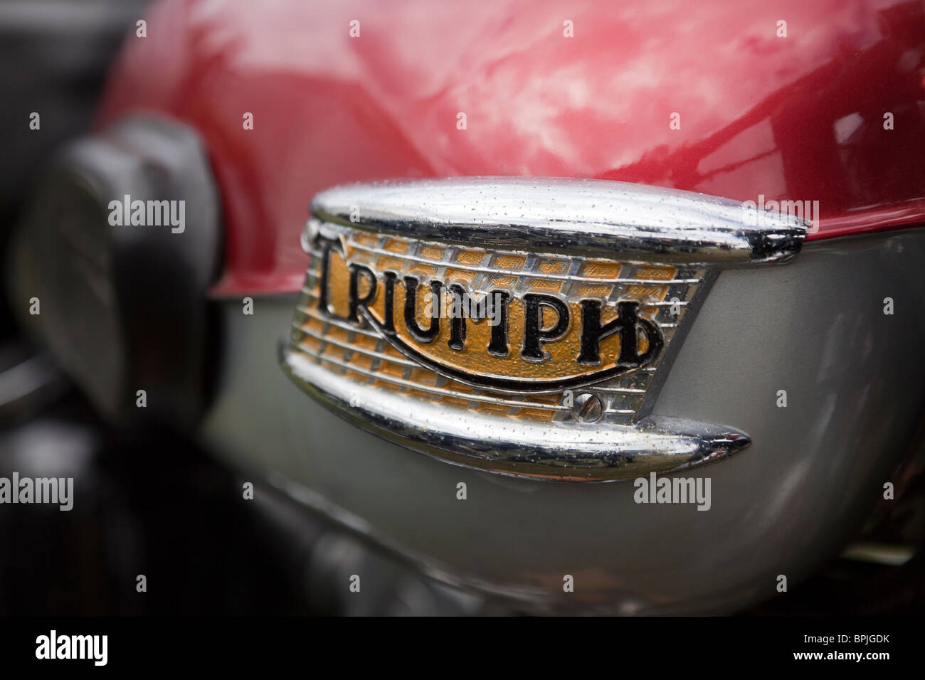 a triumph motorcycle tank showing logo. tiger cub t2osh 200cc sports ...