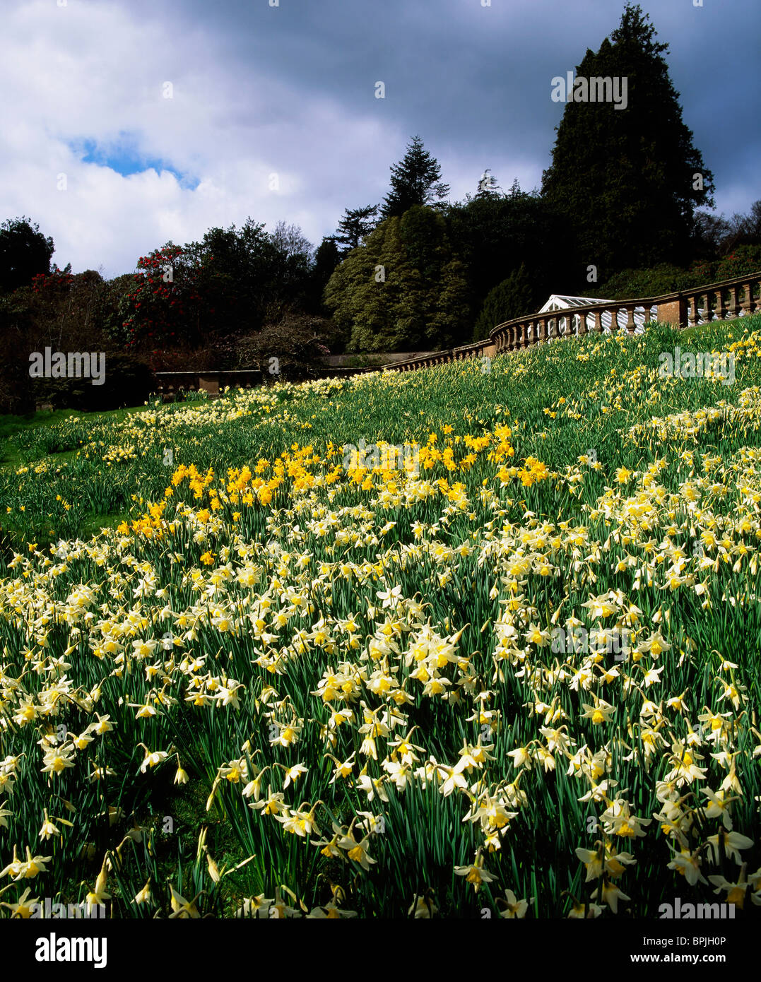 Castlewellan Co Down Northern Ireland High Resolution Stock Photography ...