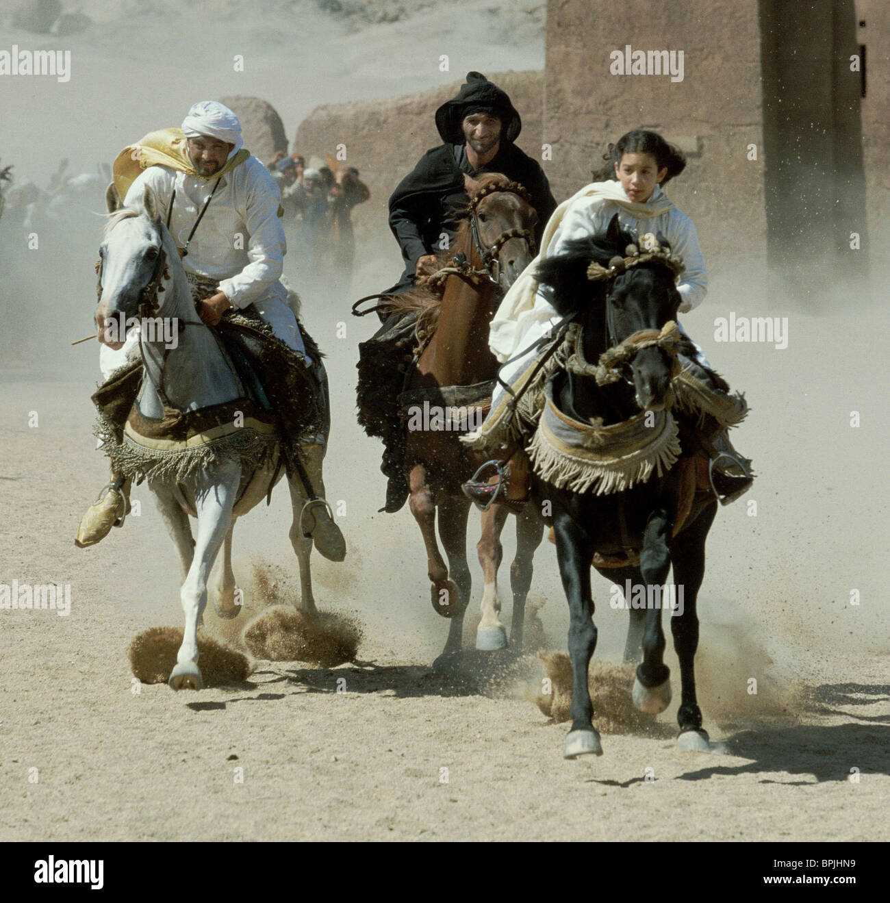 Young Black Stallion High Resolution Stock Photography and Images - Alamy