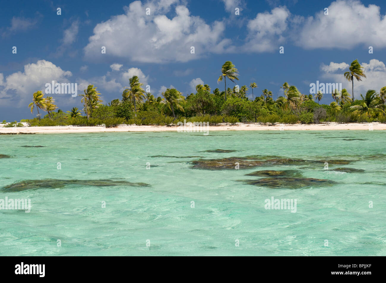 Tikehau, Tuamotu Archipelago, French Polynesia Stock Photo - Alamy