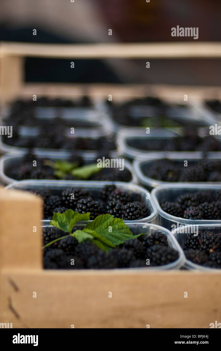 Box of fresh raspberries Stock Photo - Alamy