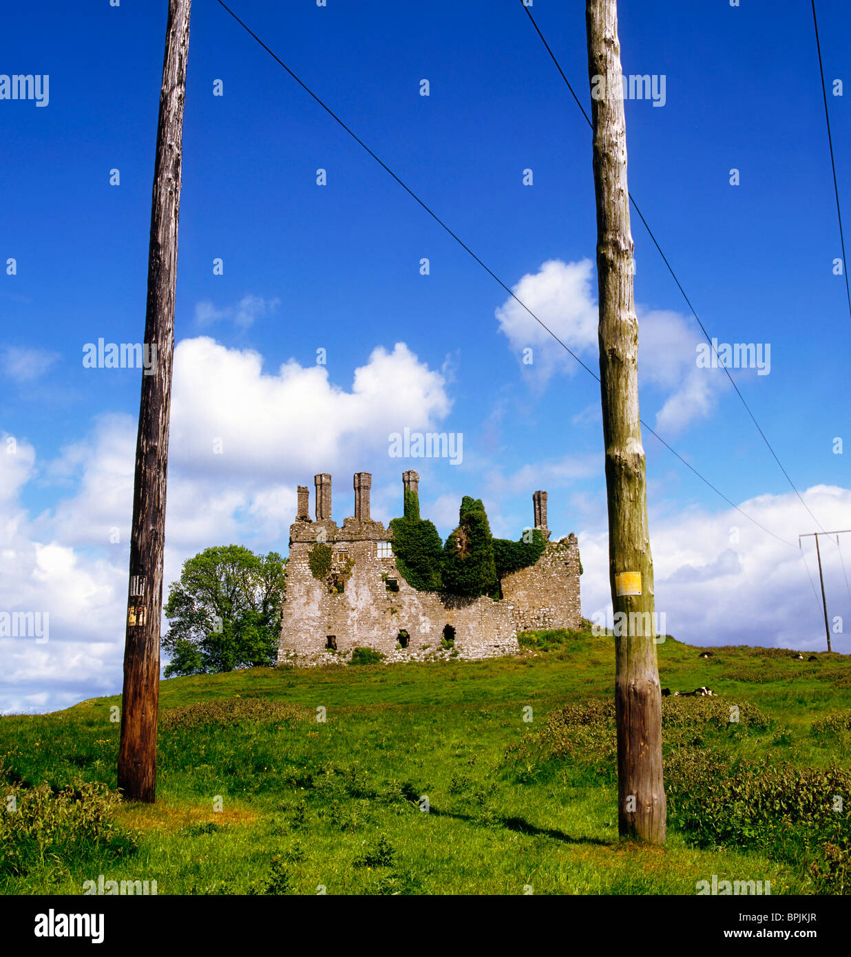 Carbury, Co Kildare, Ireland, Power Lines Near Carbury Castle Stock ...