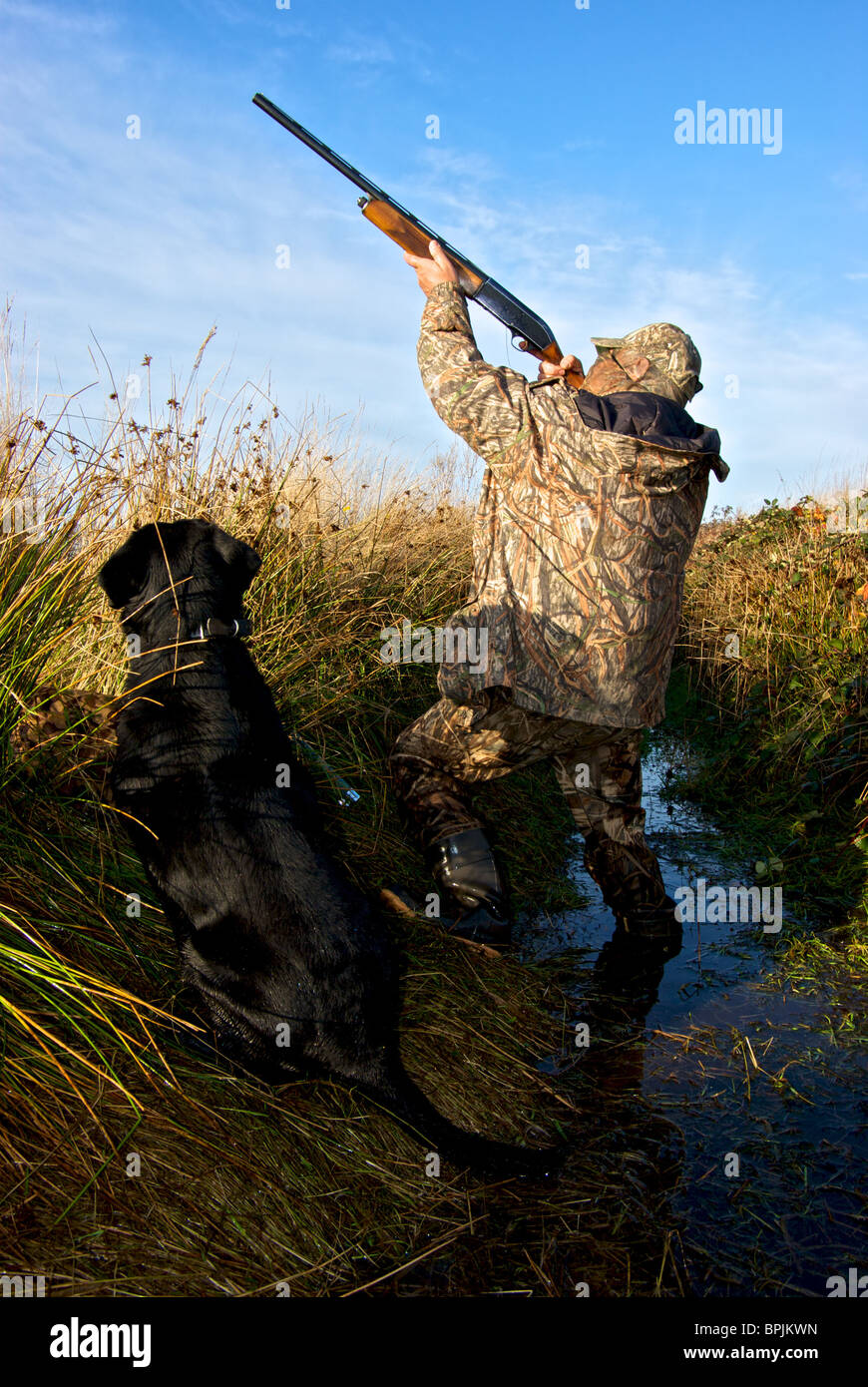 Goose Hunting Drawings